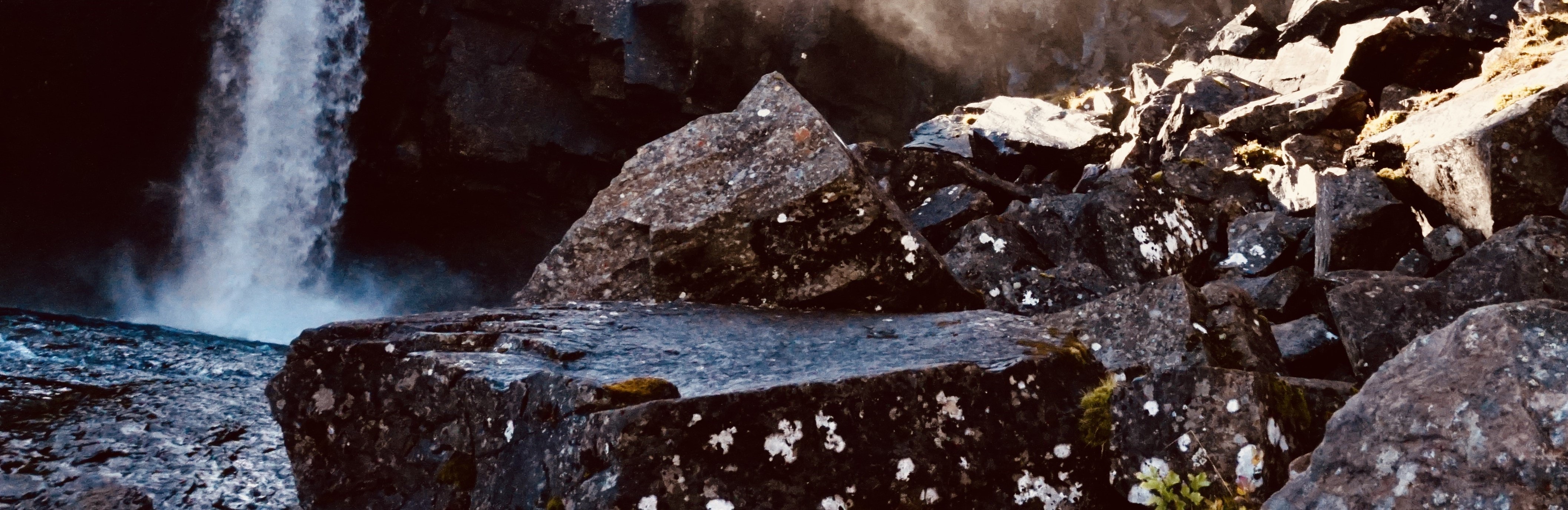 Case studies – Relics of Nature